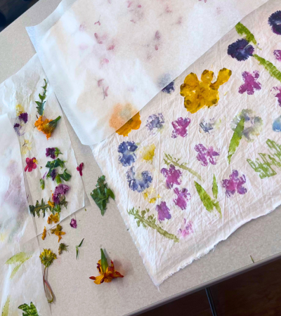 Program Search | Programming Librarian